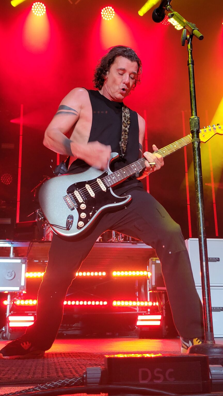 Review: Bush, Loaded with Hits, Electrifies St. Louis Music Park